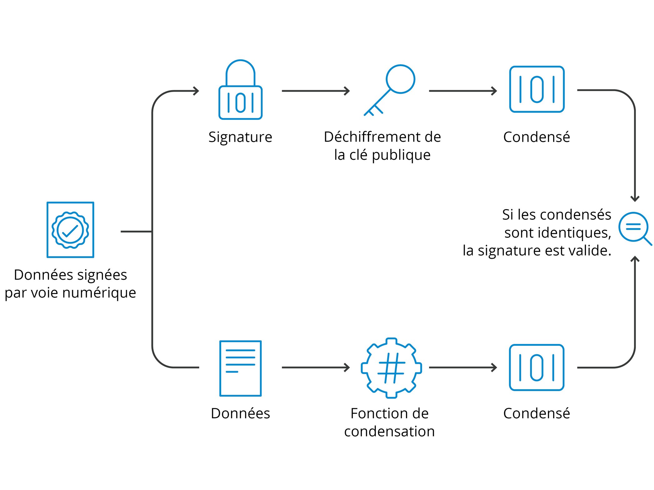 Signatures numériques 101 : comprendre les principales étapes